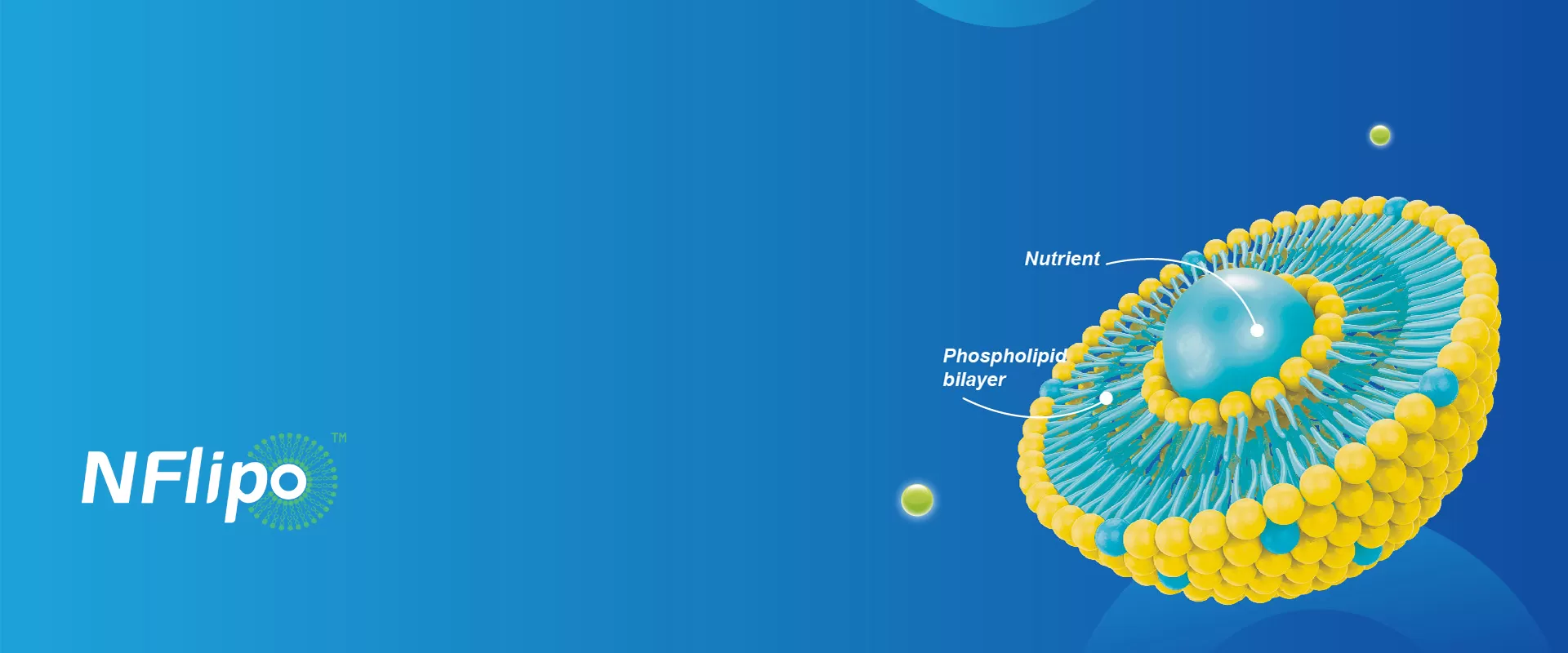 Natural Field: Liposomal Encapsulation Technology, Liposomal Products ...